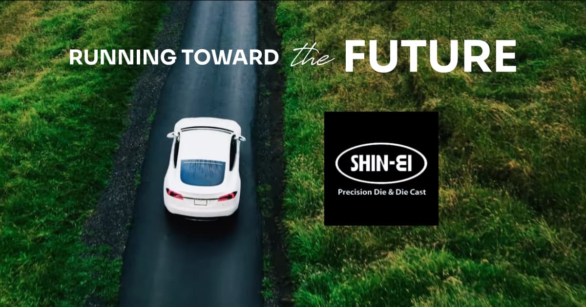 Company | SHIN-EI HIGH TECH CO., LTD.